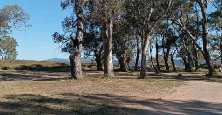 Diggers Rest Camp Site 4 Lake Lonsdale – Secluded Lakeside Adventure ...