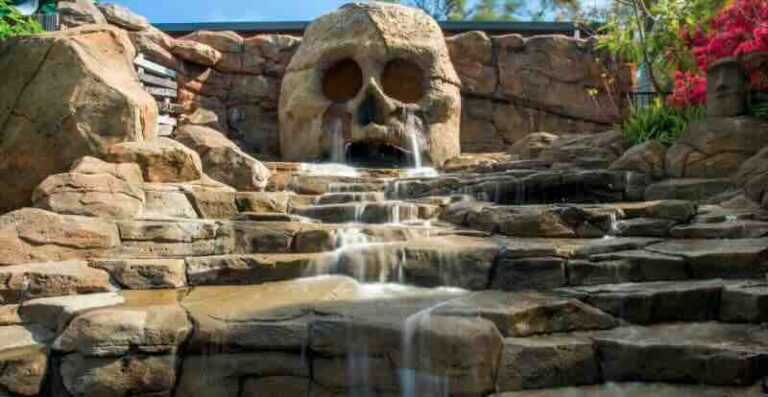 NRMA South West Rocks Holiday Park – Premier Family Resort & Beachside ...